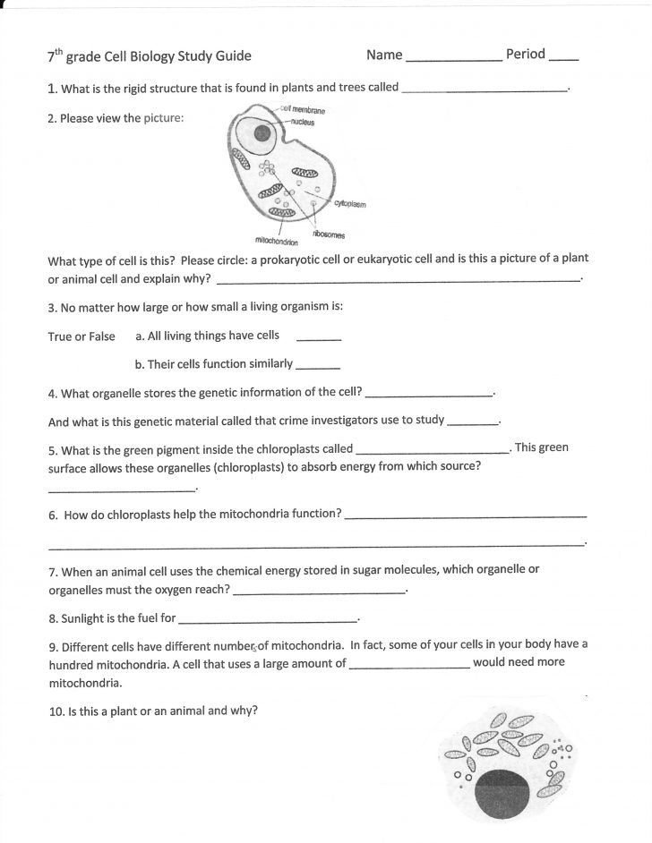 9Th Grade Science Worksheets Free Printable | Free Printables | 9Th ...