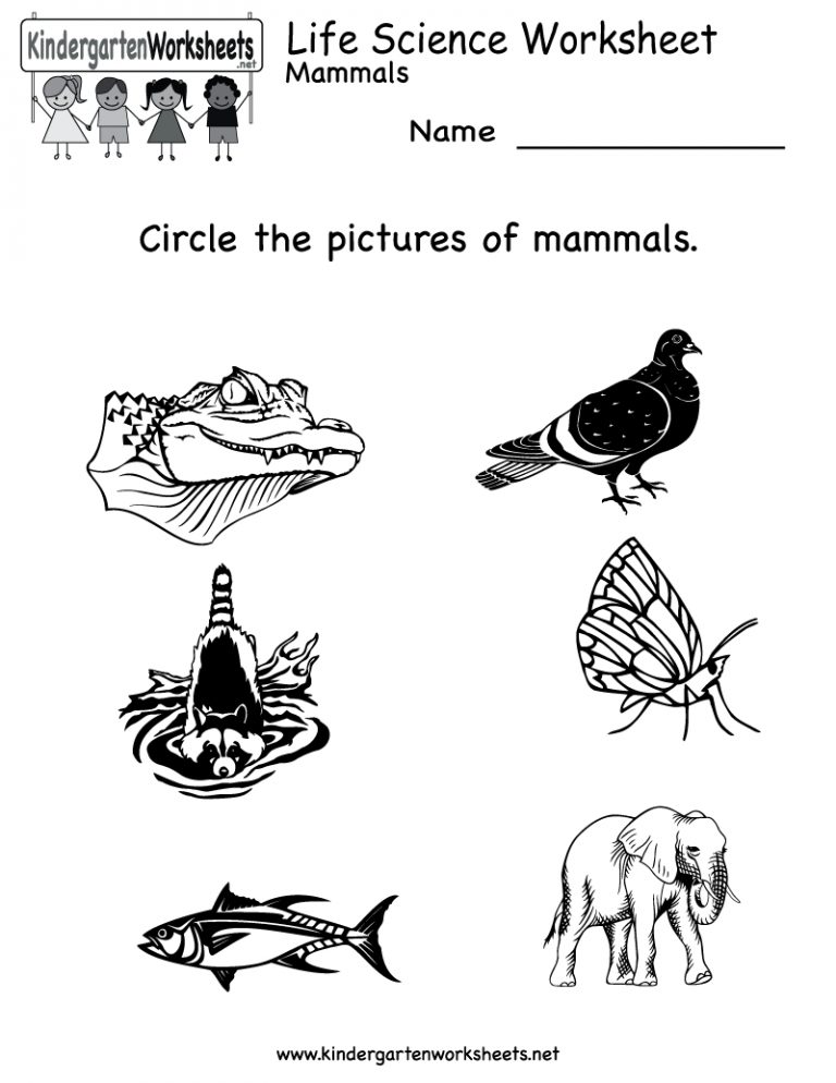 Kindergarten Life Science Worksheet Printable | Worksheets (Legacy ...