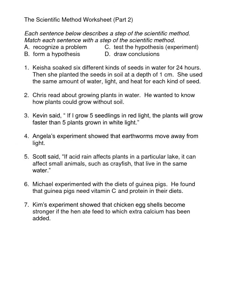 Middle School Scientific Method Worksheet | Science Materials | Free ...