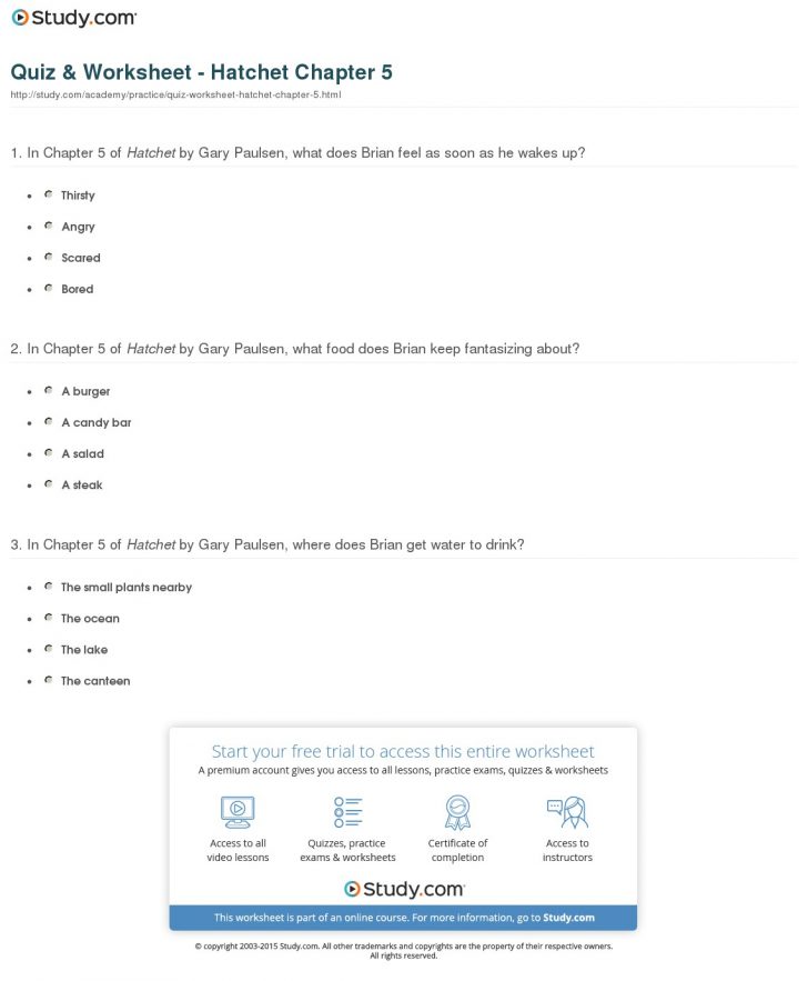 Quiz & Worksheet - Hatchet Chapter 5 | Study | Hatchet Worksheets ... Quiz & Worksheet - Hatchet Chapter 5 | Study | Hatchet Worksheets ...